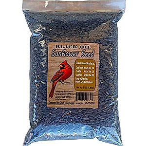 Desert Valley Premium Black Oil Sunflower Seeds - Wild Bird - Wildlife Food, Cardinals, Squirrels, Doves & More (3-Pounds)
