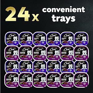 CESAR Adult Wet Dog Food Classic Loaf in Sauce Filet Mignon and Porterhouse Steak Flavors Variety Pack,(12) 3.5 oz. Easy Peel Trays, Pack of 2