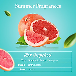 KUNDAL Honey&Macadamia Hydro-Intensive Protein Premium Nature Hair Treatment(Pink Grapefruit) 500ml