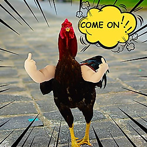 FUAMEY Muscle Chicken Arms Toys for Chickens to Wear, Funny Costume Fist Fighting Arms Toy for Pet Prank Themed Party, Artificial Arms Costume Cosplay for Chickens Rooster Hens