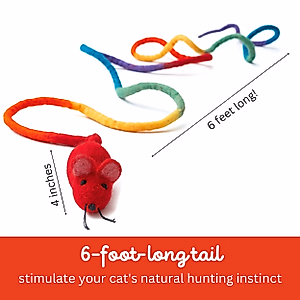 Catch a Mouse by The Tail Wool Cat Mouse Toy with a 6-Ft Tail for Indoor Cats Kittens. Cute Toy Mouse, Mouse Cat Toy, Rat Plush Toy, Fake Mice. No Catnip. Pride (Rainbow)