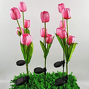 Aolyty Solar Flower Lights Outdoor, IP65 Waterproof Solar Tulip Lights LED Garden Stake Lights for Pathway Lawn Patio Yard Landscape Decorative