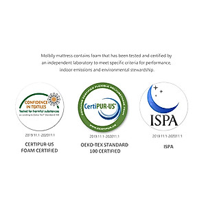 SmartBD Blue Cloud Waterproof Mattress Foam Medical Bedwetting Mattress Plush Firm Motion Fresh Reflection,Adult & Kids,Lux-Tex Foam Mattress Camper/Trailer/Truck (7 Inch, Full), CARE001-10B7NLN