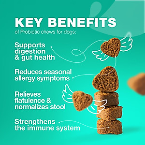 Probiotics for Dogs - Support Gut Health, Immunity, Yeast Balance, Itchy Skin, Allergies - Dog Probiotics and Digestive Enzymes - Coprophagia Deterrent for Dogs - 180 Probiotic Chews for Dogs