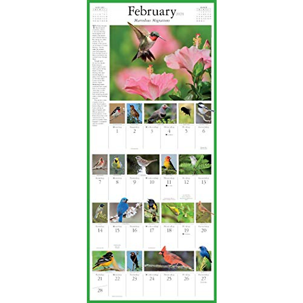 Audubon Songbirds and Other Backyard Birds Picture-A-Day Wall Calendar 2021