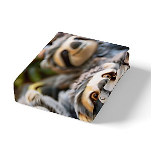 Feelyou Cute Sloth Bedding Set for Girls Boys Children Cartoon Animal Themed Comforter Cover Decorative Lazy Sloth Duvet Cover Funny Style Bedspread Cover Twin Size 2Pcs Bedclothes