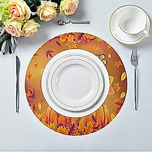 Welcome Fall Round Placemats Set of 4 Table Placemats Autumn Buffalo Check Pumpkins Sunflowers Place Mats Fall Leaves Tablemats 15 inch for Kitchen Dining Table Dinner Kids Holiday Party
