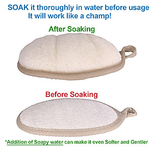 Exfoliating Body Scrubber Loofah Sponge (2 Pack), 100% Natural Lufa Bath Scrubber Body Scrubbers for Shower Scrub Loofa, Large Lufas for Men and Women Loufa Biodegradable Exfoliator Scrubber Luffa