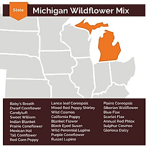 Michigan Wildflower Seed Mix - 1/4 Pound - Mixed Wildflower Seeds, Attracts Bees, Attracts Butterflies, Attracts Hummingbirds, Attracts Pollinators, Easy to Grow & Maintain, Cut Flower Garden