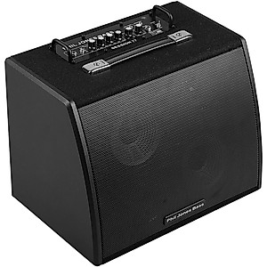 Phil Jones Session 77 100w Bass Combo