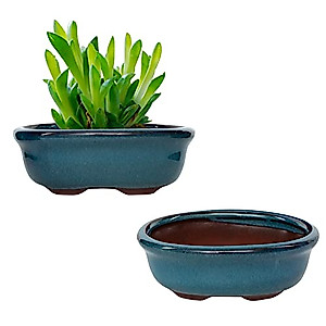 lychee Chinese Bonsai Pot Oval Glazed Flower Pot Planter Home Garden Decor