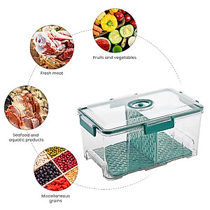 Iryreafer Refrigerator Vacuum Sealer Food-grade Material Container 1.5/2.5/7.5l Transparent Crisper with Detachable Drainage Plate Airtight Food Storage Box for Green A