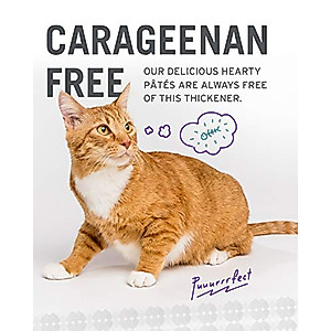 "I and love and you" Naked Essentials Canned Wet Cat Food, Stew Variety Pack (Chicken, Salmon, Tuna), Grain Free, Real Meat, No Fillers, 3 oz (Pack of 12)