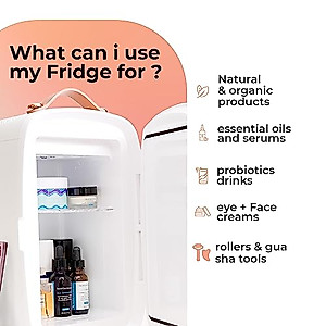 watrboy Professional Skincare Fridge, 6 Liter Cosmetic Beauty Fridge, Mini Makeup Fridge for Skin Care, Compact Makeup Fridge for Skincare