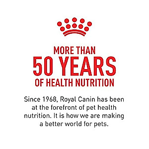 Royal Canin Canine Health Nutrition Puppy Loaf in Sauce Canned Dog Food, 5.2 oz Cans 12-pack