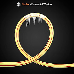 Solution4Patio Homes Garden 10 ft. Short Hose 3/4 inch Yellow Lead-in Hose Male/Female Commercial Brass Coupling Fittings for Water Softener, Dehumidifier, Vehicle Water Filter 5 Years Warranty