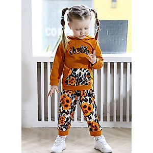 Baby Girl Clothes Floral Hoodie Long Sleeve Sweatshirts Pants Set Toddler Girls Fall Winter Outfits Sweatsuits (yellow, 4/5T)