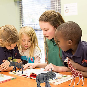 BOLZRA Safari Animals Figures Toys, Realistic Jumbo Wild Zoo Animals Figurines Plastic African Jungle Animals Playset for Kids Toddlers, 14 Piece Gift Set