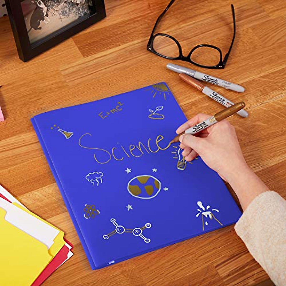 SHARPIE Special Edition 12 Piece Permanent Marker Pack (1909896)