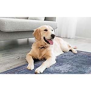 RugOver Machine Washable Area Rug, Pet Friendly & Resistant Indoor Carpet for Kitchen, Bathroom, Living Room (Ash/Champagne, 2' x 3')
