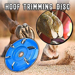 Aslion Hoof Trimming Disc for Horses Goats, Professional Electric Hoof Repair Tool High Working Efficiency and Durable - 6 Tooth Design