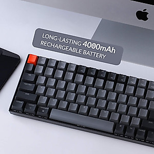 Keychron K4 96% Layout 100 Keys Wireless Bluetooth 5.1/Wired USB Mechanical Gaming Keyboard with Gateron G Pro Brown Switch RGB Backlight N-Key Rollover for Mac Windows PC-Version 2