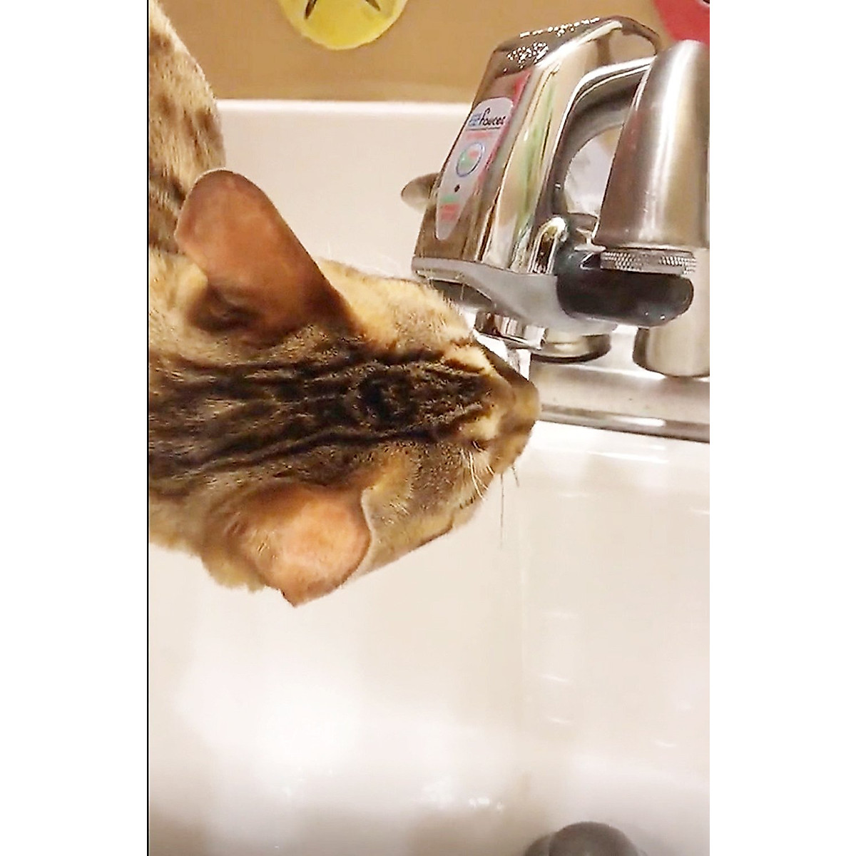 iTouchless EZ PRO Automatic Sensor Faucet Adapter for Bathroom, Kitchen Sink, Also use as Cat Fountain and Pet Water Dispenser, 4 in. H x 4 in. W x 2 in. D, Chrome Silver