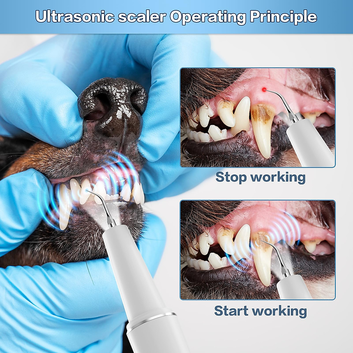 TESECU Dog Plaque Remover for Teeth, Dog Tooth Brushing Kit for Tartar, 5 Modes Pet Dog Teeth Cleaning, Dog Pet Puppy Dental Toothbrush Tool, Pet Teeth Cleaning Suitable for Dog/Cat