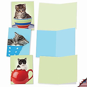The Best Card Company - 10 Adorable Blank Cat Cards (4 x 5.12 Inch) - Cute Pet Kittens, Assorted Bulk Notecard Set - Cup-Cats M3969