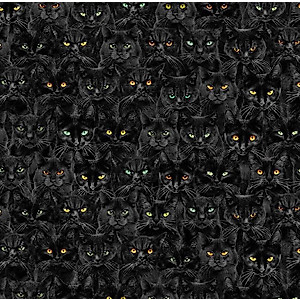 Timeless Treasures Wicked CD1831 Black Cats Magic Fabric