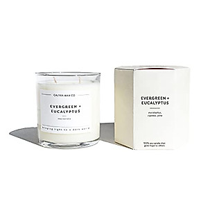 Evergreen & Eucalyptus Scented Candle, Soy Wax Candles for The Home Scented with Phthalate Free Oils, 3.5 x 3 inch, 8.8 oz, 37 Hour Burn Time Fall Candles & Home Decor in Glass Jar - Calyan Wax