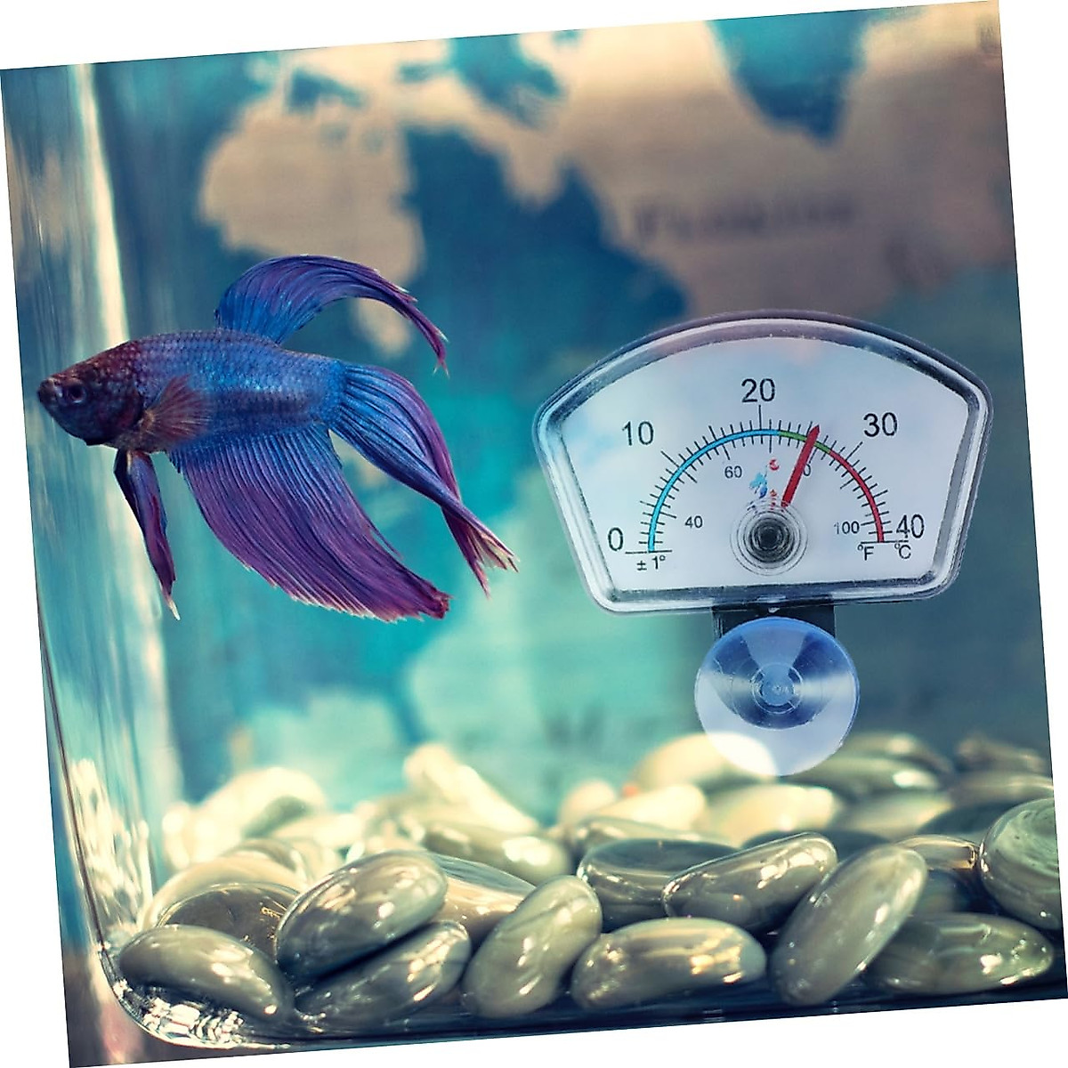BESPORTBLE 12 Pcs Pointer Thermometer Fish Tank Digital Turtle Tank Aquarium Water Submersible Water Temperature Meter Aquarium Marina LCD Betta Fish Tank Dial Thermometer Number Abs Tub