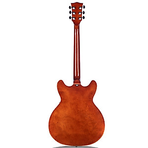 Redid Semi-Hollow Body Electric Guitar RD-100 Jazz Guitar with F-Hole,Maple neck,humbucker Pickups(Brown)