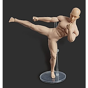HiPlay TBLeague 1/6 Scale Seamless Male Action Figure Body- 12 Inch Super Flexible Collectible Figure Dolls (M30)