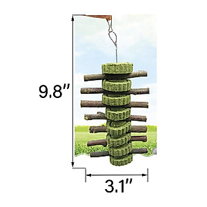Bunny Chew Toys for Teeth,3Pieces Natural Fruit Twigs Handmade Timothy Hay Grass Cakes for Guinea Pigs Hamsters Dwarf Rabbits Chinchillas Gerbils Improves Dental Health