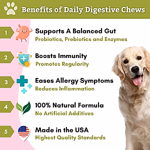 Wholistic Pet Organics: Probiotic Chews for Dogs Digestive Health - 60 Count - Dog Probiotics and Digestive Enzymes - Support Gut Health Immune Supplement Prevents Dog Digestive Problems