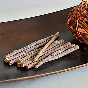 Youngever 300g Apple Sticks, Treat Food, Pet Chew Toys for Rabbits, Chinchillas, Guinea Pigs, Hamsters