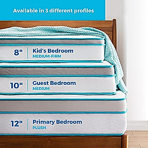 Linenspa 12 Inch Memory Hybrid-Edge Support-Quilted Foam Cover Mattress, Plush Mattress Queen