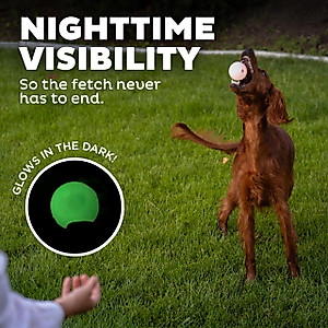 Outward Hound by Planet Dog Strobe Ball Glo Light Up LED Ball Dog Toy