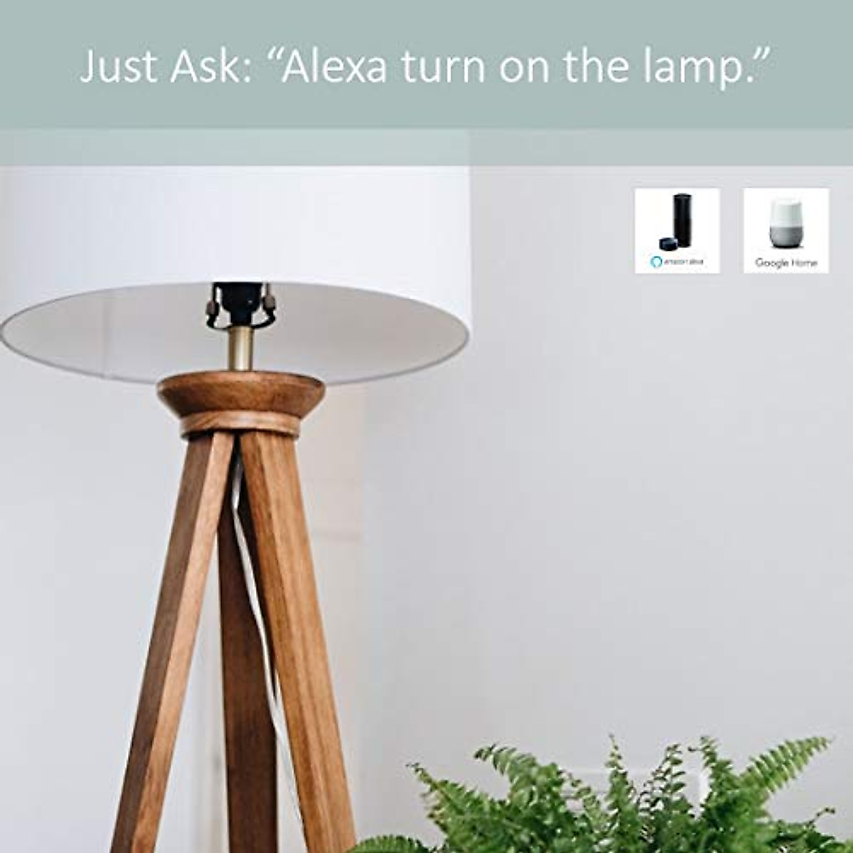 Legrand - Pass & Seymour Radiant WWP10CCV2 Enabled Plug, White Smart Wi-Fi Switch