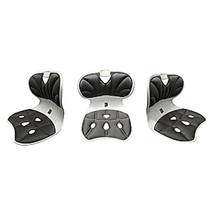 Taiwan Hip Comfortable Lumbar Back Support. Perfect for Home, Office, Desk Chair. Technology for Pelvic Correction. Low Back (Grey) Pain Relief