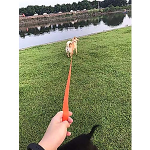 AmaGood Dog/Puppy Obedience Recall Training Agility Lead-15 ft 20 ft 30 ft 50 ft Long Leash-for Dog Training,Play,Safety,Camping (15 feet, Blue)