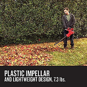 CRAFTSMAN Leaf Blower, Electric, 12-Amp (CMEBL700)
