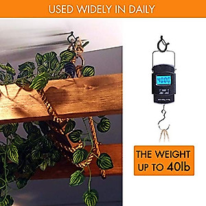 WaterLuu 12 Pcs String Light Hooks, Q Hanger Hooks with Safety Buckle for Ceilling Plants, Windproof Outdoor Light Hooks for Hanging Patio Lights, Christmas Lights & Plants 2.2 Inch