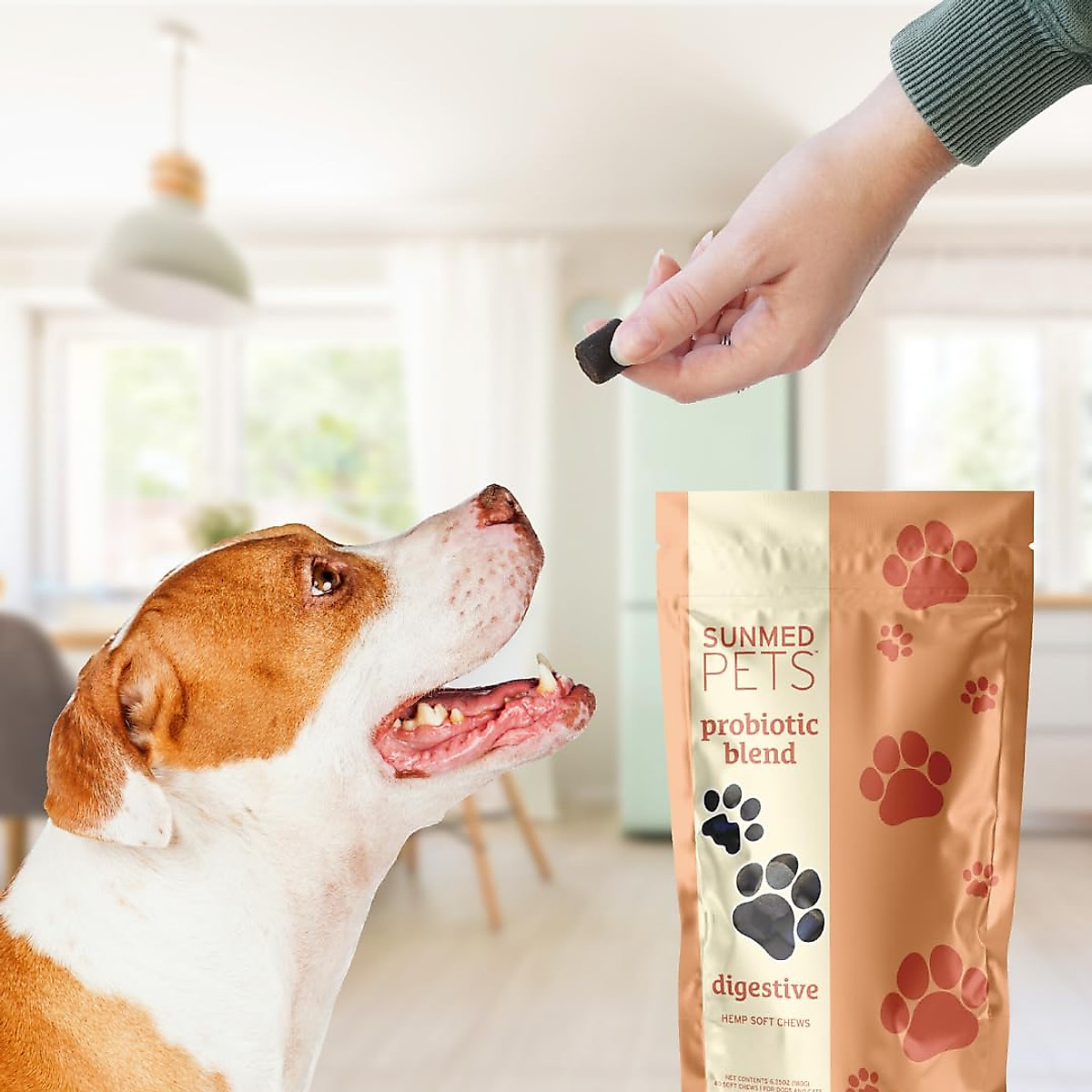 Sunmed Probiotics for Dogs with Pumpkin & Probiotic Blend - Formulated for Dog Digestive Health, Overall Wellness - Hemp Extract Chews, 40 Count