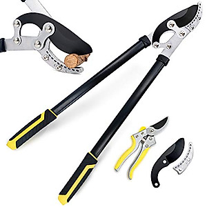 Jardineer 2" Anvil Loppers Shears - Loppers Heavy Duty with Garden Shears & Spare Blade, Effortless Pruning Tree Loppers, 30" Branch Cutter and Long-Lever Tree Trimmer