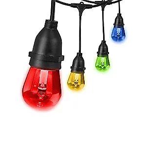 Feit Electric 24" 12pc. Light Color Changing Smart WiFi String Lights with Scheduling Features and Works with Alexa/Google Assistant, Heavy Duty and Weather Resistant - Clear Bulb - SL24-12/RGBW/AG
