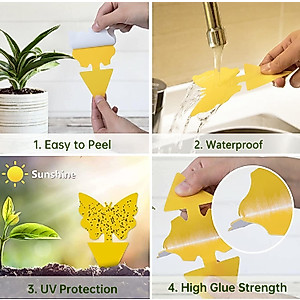 Adawook 24pcs Sticky Traps, Fruit Fly Traps for Indoors, Gnat Sticky Traps for House Plant, Fruit Fly, Whitefly, Fungus Gnat,and Bugs, Yellow