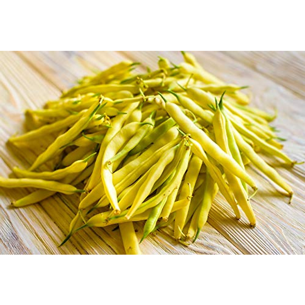 Golden Wax Bush Bean Plant Seeds, 50 Heirloom Seeds Per Packet, Non GMO Seeds, (Isla's Garden Seeds), Botanical Name: Phaseolus vulgaris, 85% Germination Rates