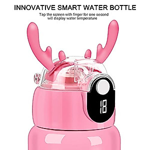 Temperature Display Kids Water Bottle，18 Oz，Straw Lid，Vacuum Insulated，316 Stainless Steel，Modern Double Walled Thermo Mug，Pink